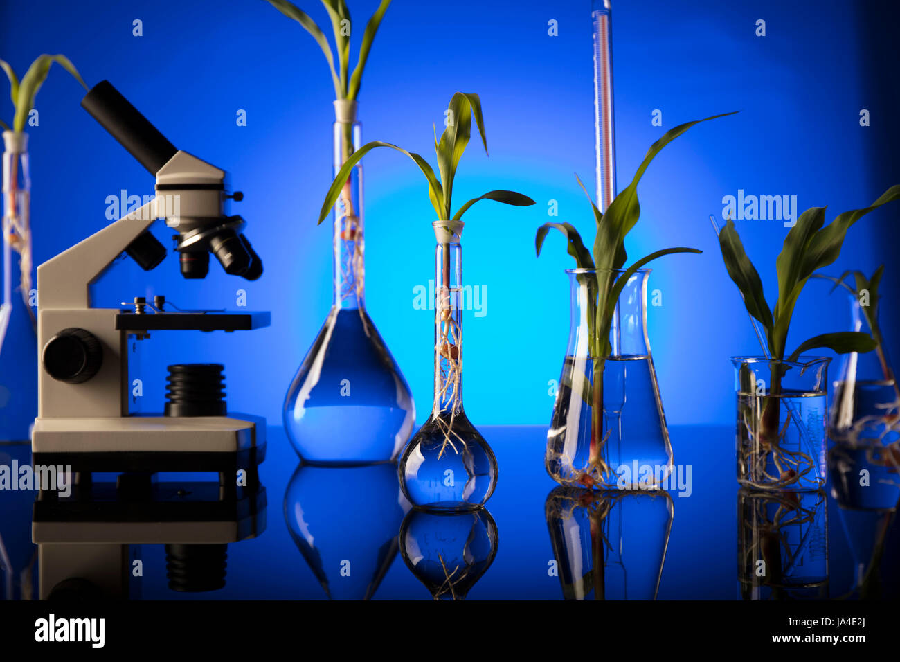 Genetic engineering and pipette hi-res stock photography and images - Alamy