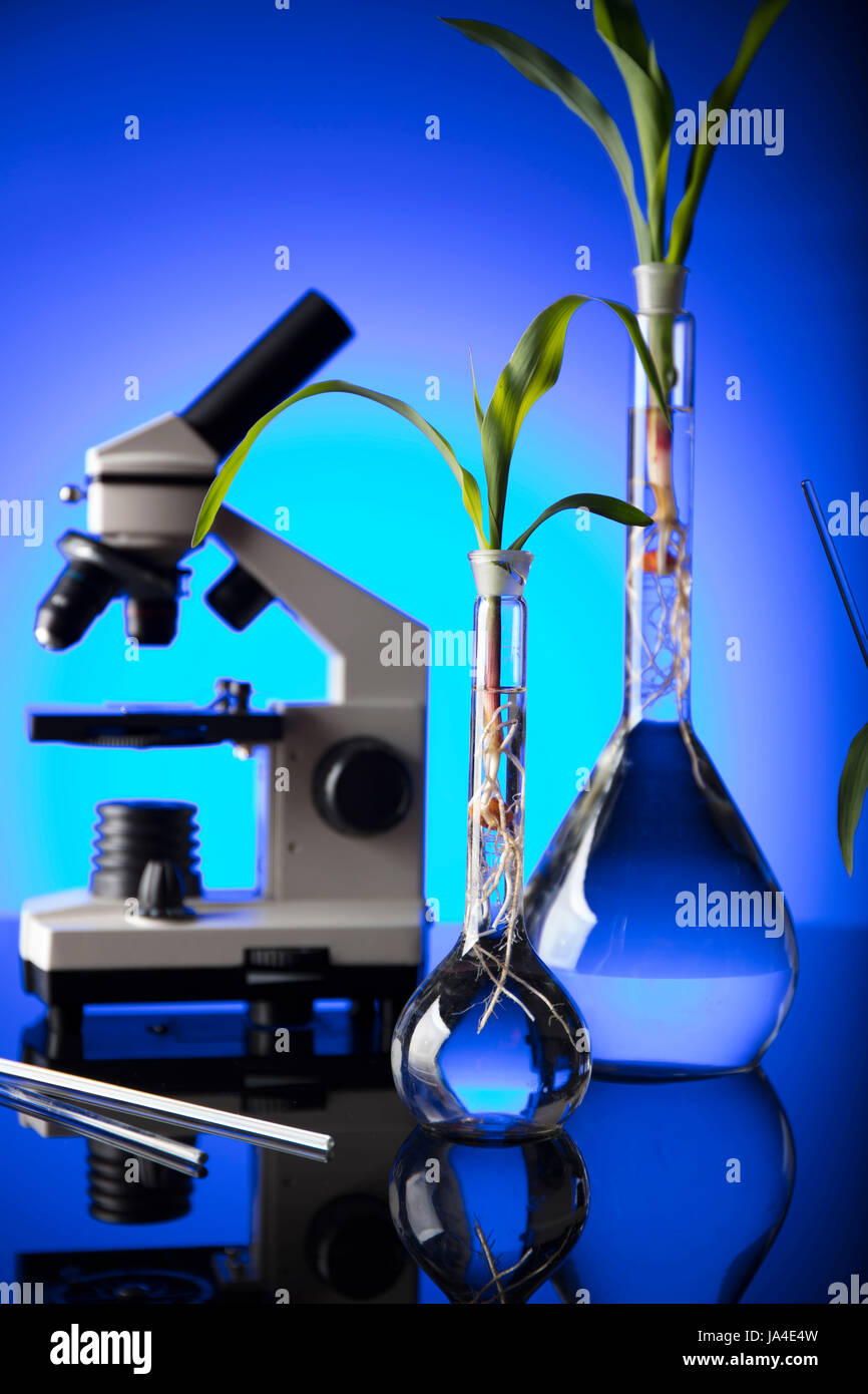 Biotechnology and floral science theme. Experimenting with flora in ...