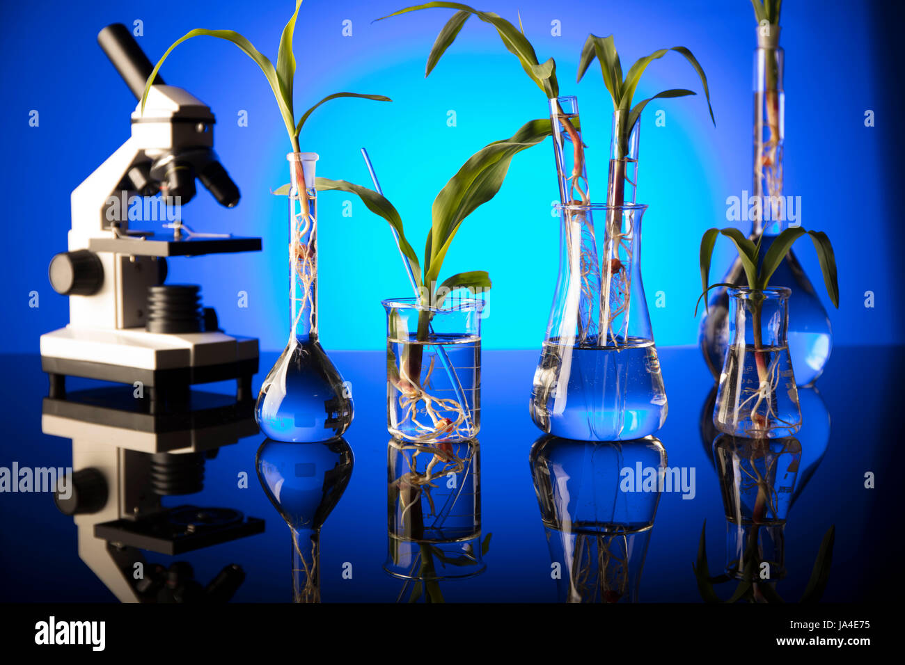 Biotechnology and floral science theme. Experimenting with flora in ...