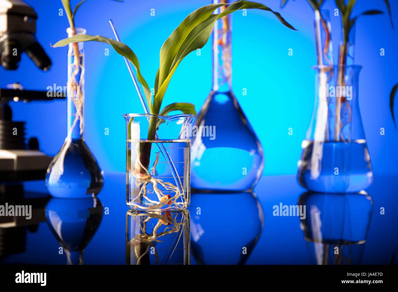Genetic engineering and pipette hi-res stock photography and images - Alamy