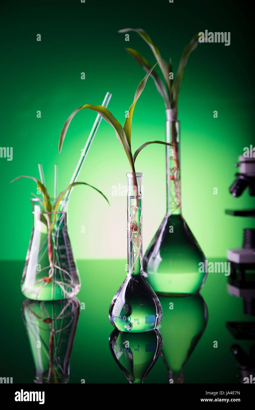 Biotechnology and floral science theme. Experimenting with flora in ...