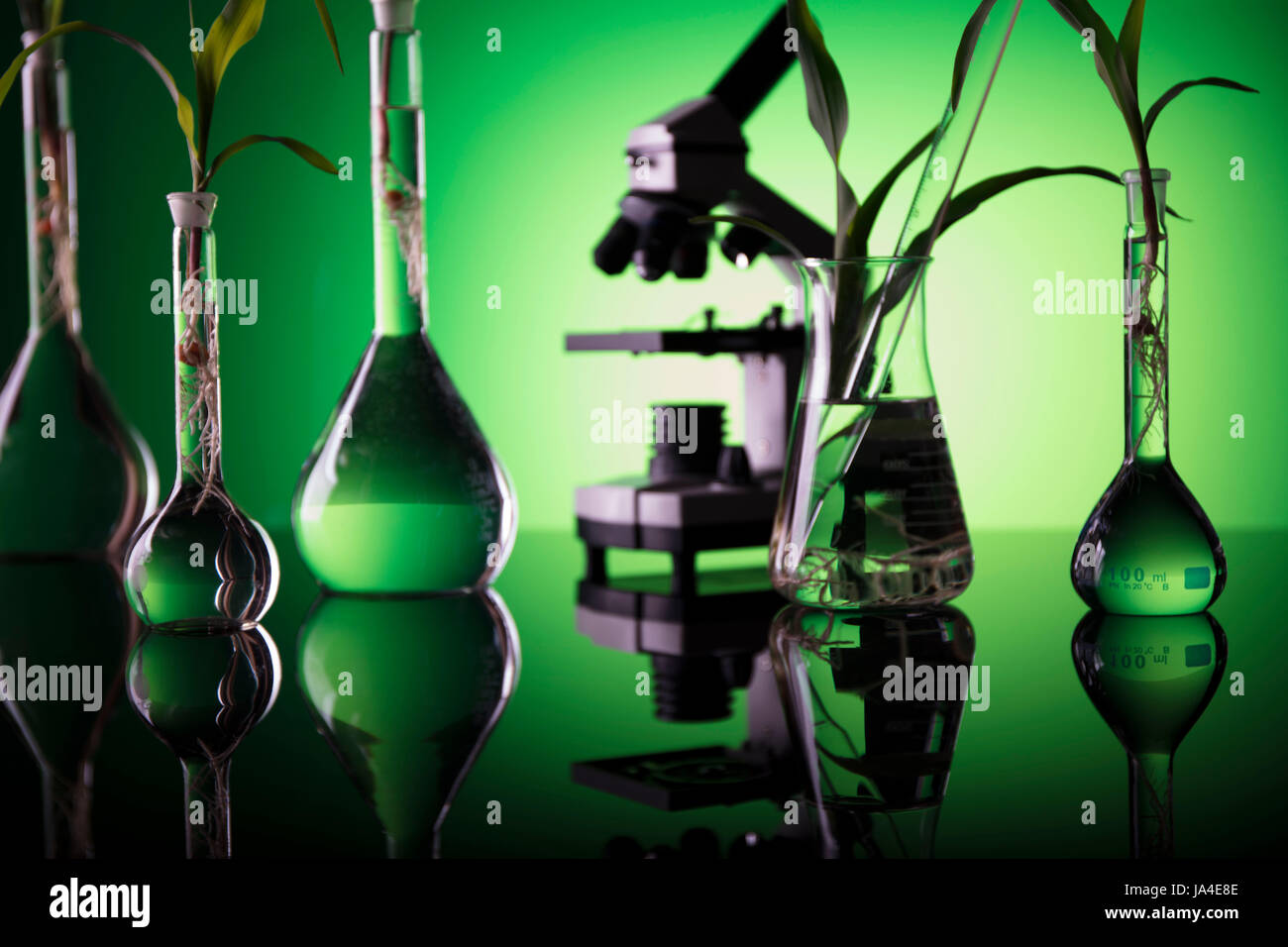 Biotechnology and floral science theme. Experimenting with flora in ...