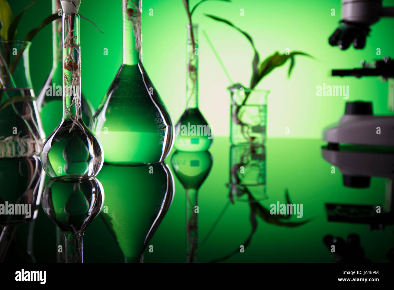 Biotechnology and floral science theme. Experimenting with flora in ...