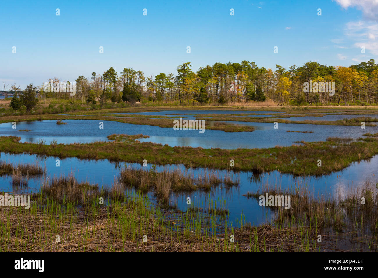 The Salt Marshes come alive with the onset of Spring Stock Photo - Alamy