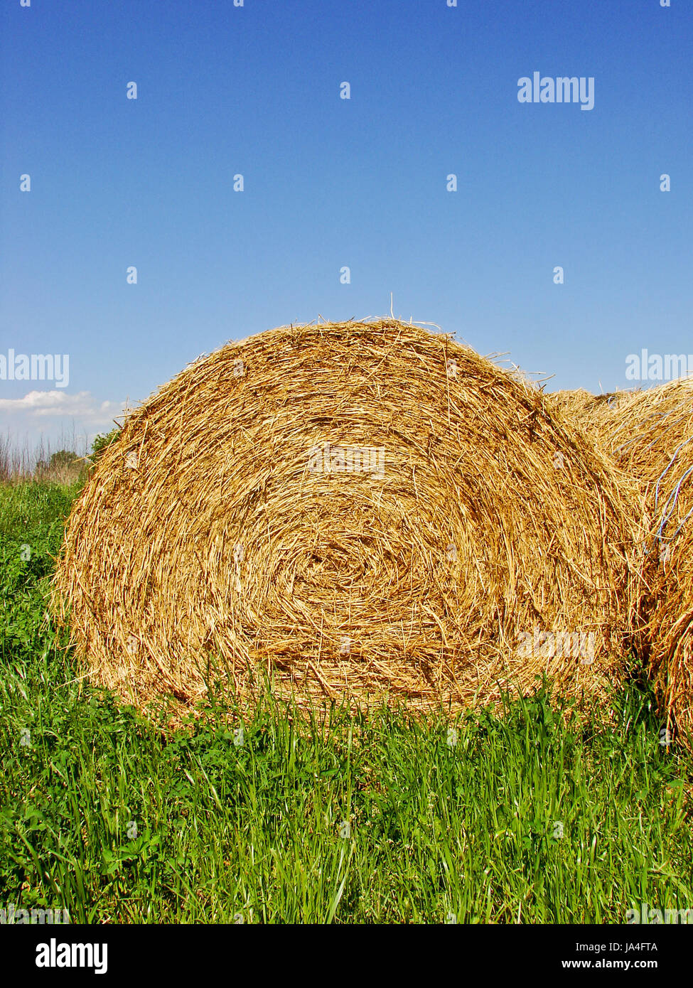 agricultural, agriculture, farming, barley, cereal, bail, grain, new ...