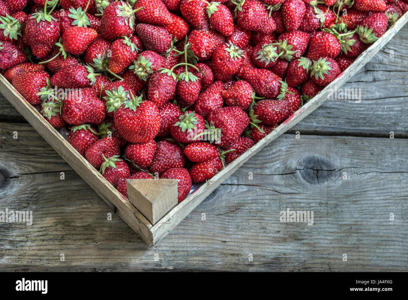 Strawberries in a pack hi-res stock photography and images - Alamy