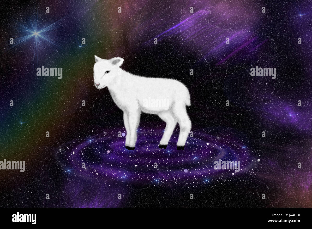 religion, space, universe, cosmos, animal, black, swarthy, jetblack ...