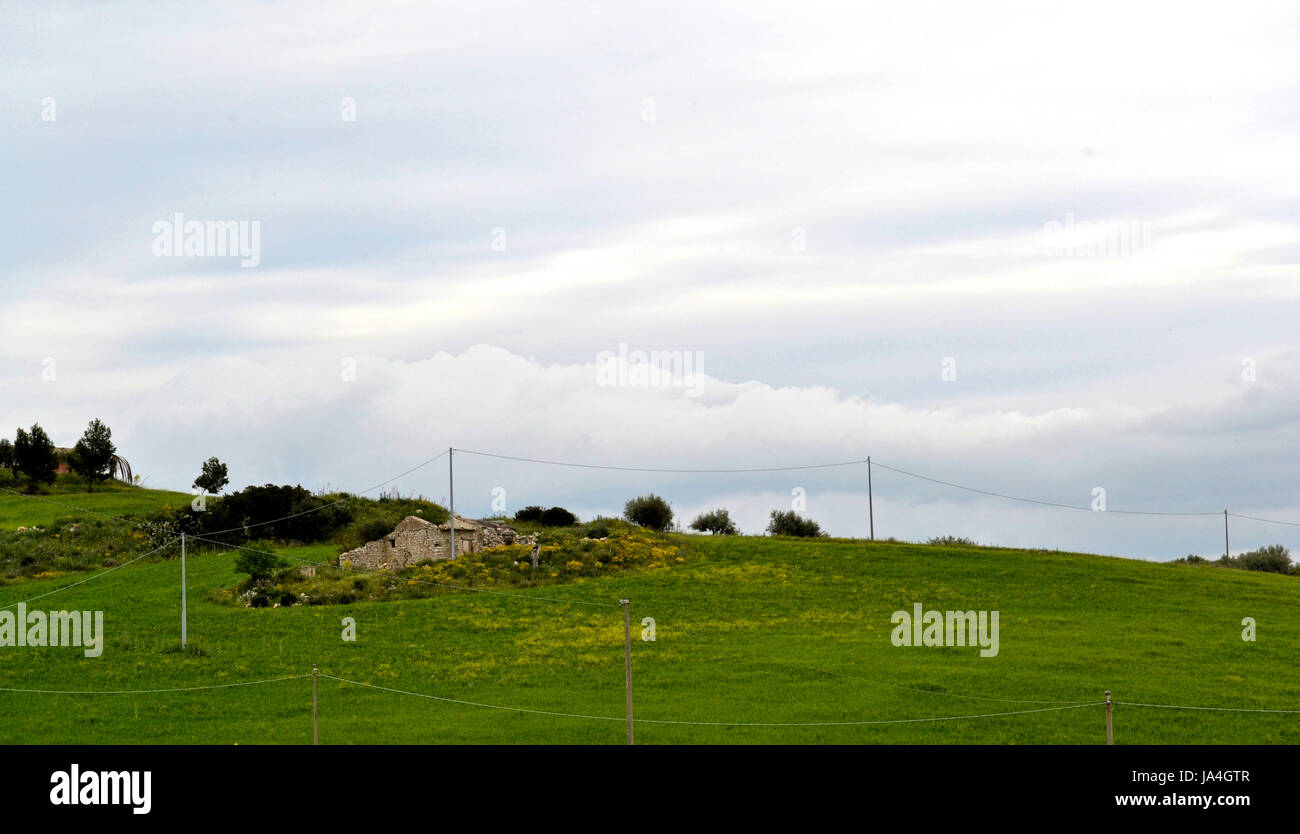 single, tree, hill, landscape, scenery, countryside, nature, minimalist ...