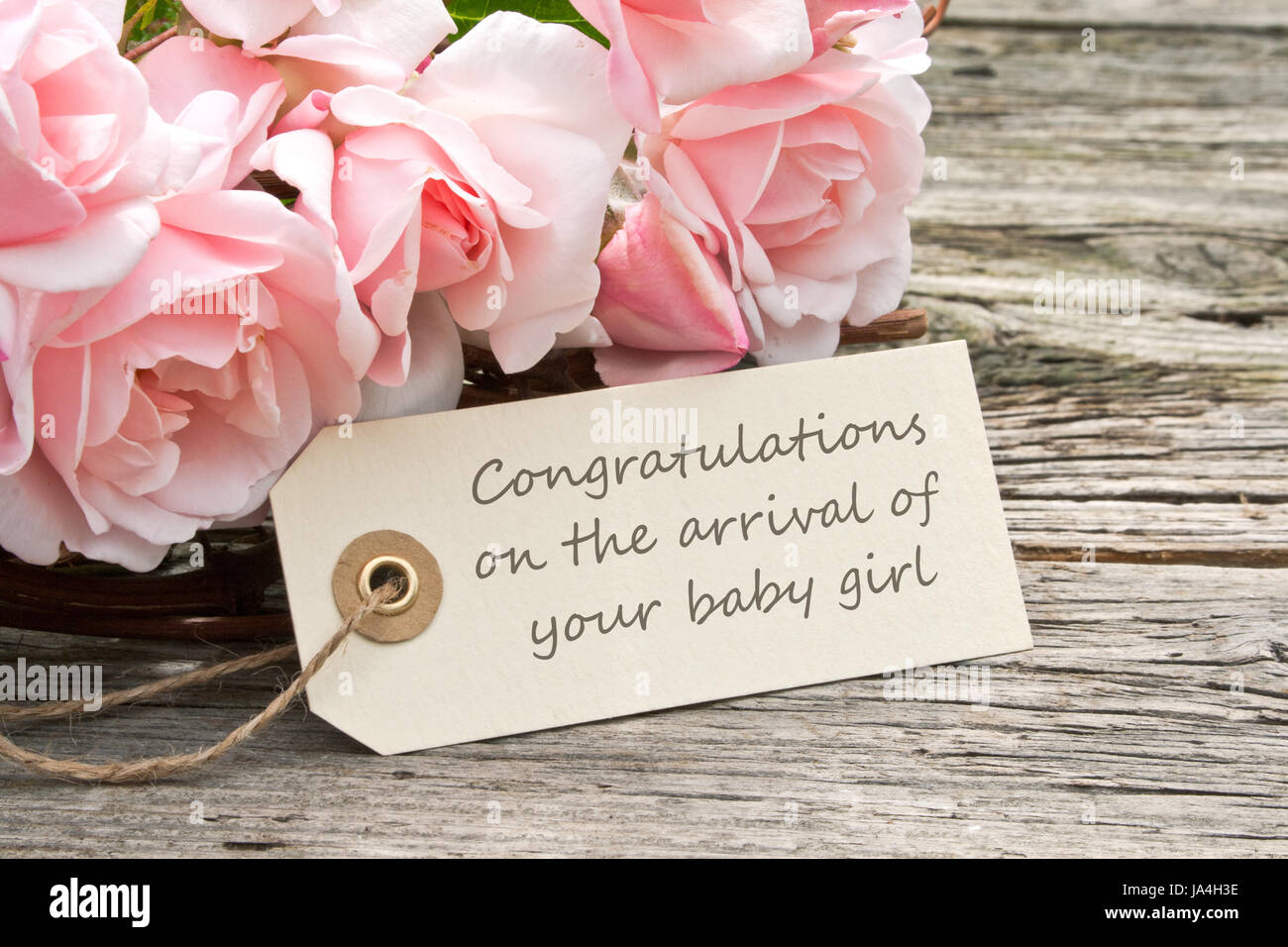 present, board, birth, childbirth, parturition, delivery, flower, plant ...