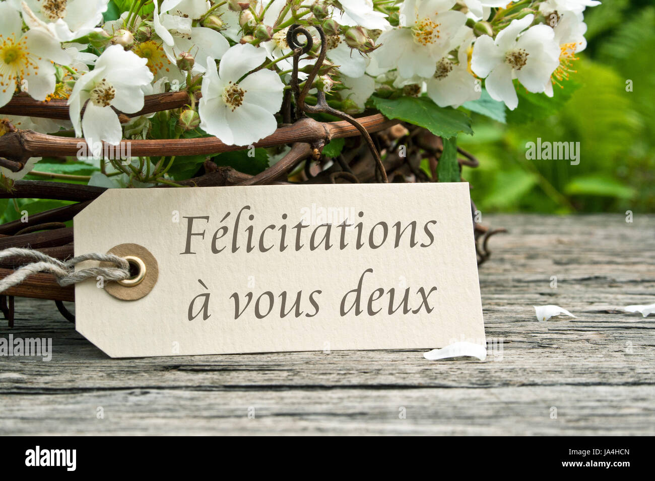 present, write, wrote, writing, writes, board, leaf, flower, plant ...