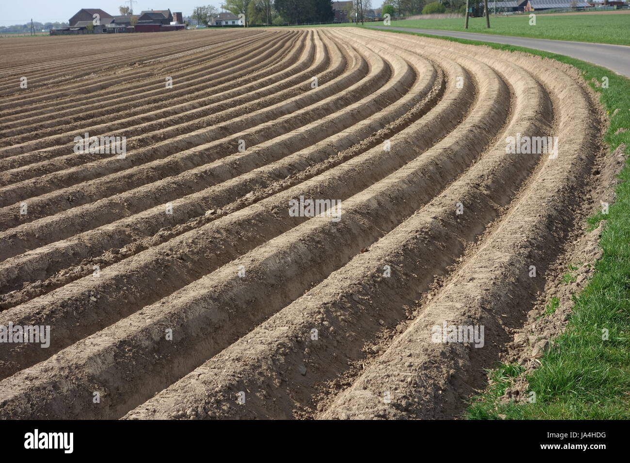 acker with furrows and curves Stock Photo - Alamy