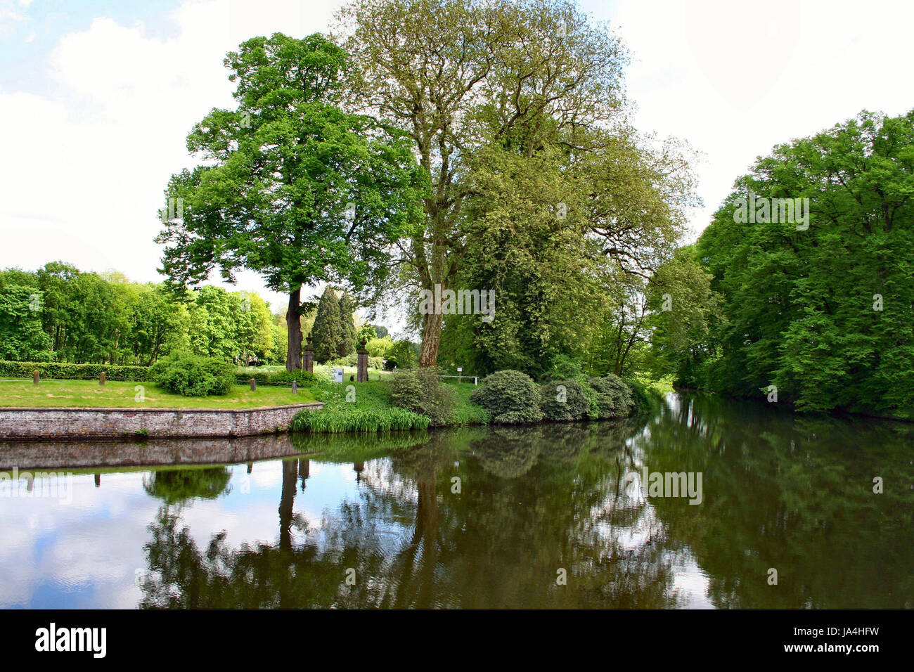 historical, tree, trees, green, important, germany, german federal ...