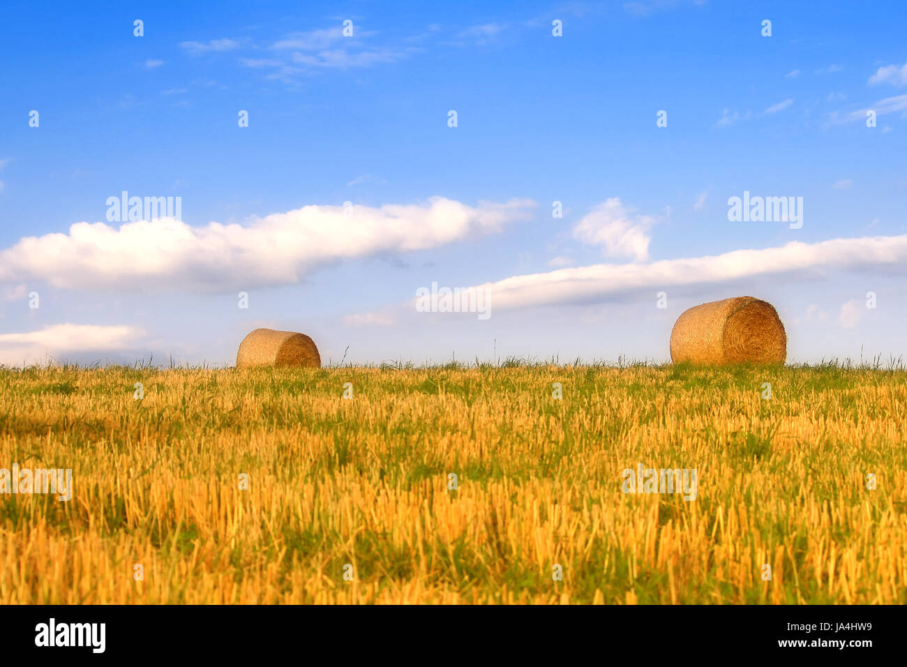 bucolic, agriculture, farming, field, summer, summerly, straw ball ...