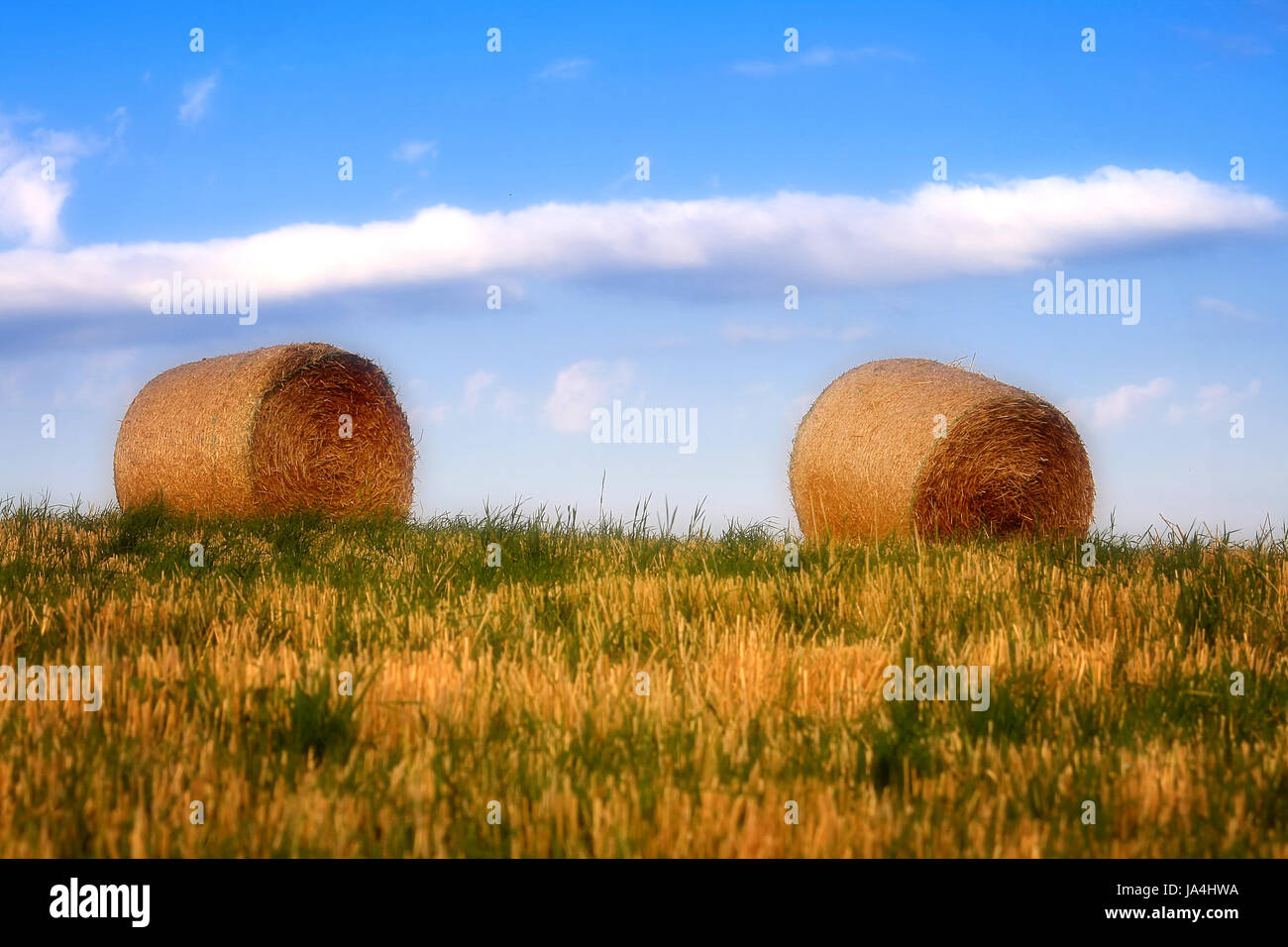 bucolic, agriculture, farming, field, straw ball, straw, scenery ...