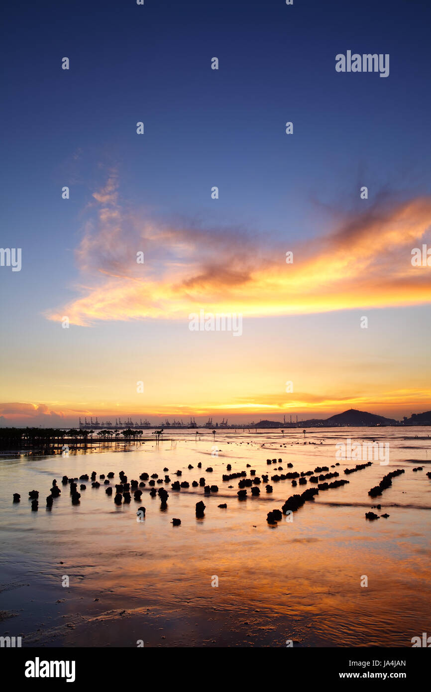 beautiful, beauteously, nice, stone, ground, soil, earth, humus, night ...