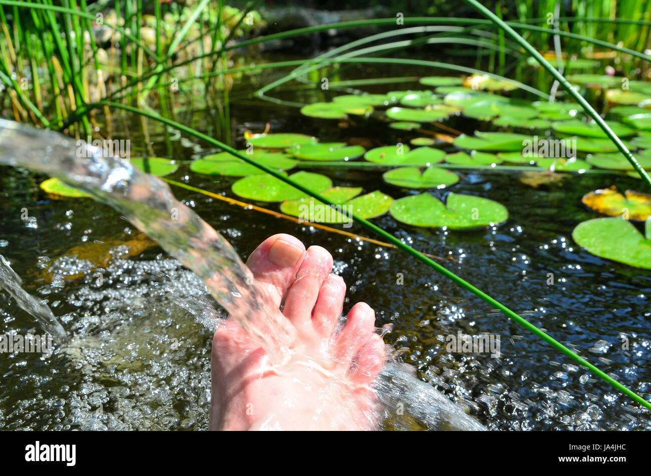 health, foot, feet, cure, fitness, water, woman, health, circulation ...