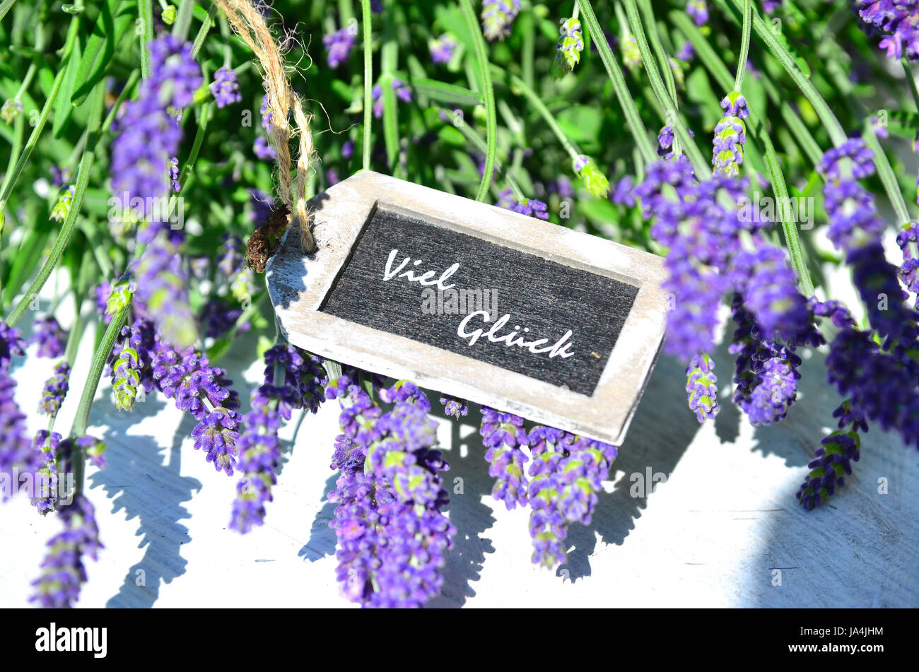 text, wort, write, wrote, writing, writes, garden, flower, flowers ...