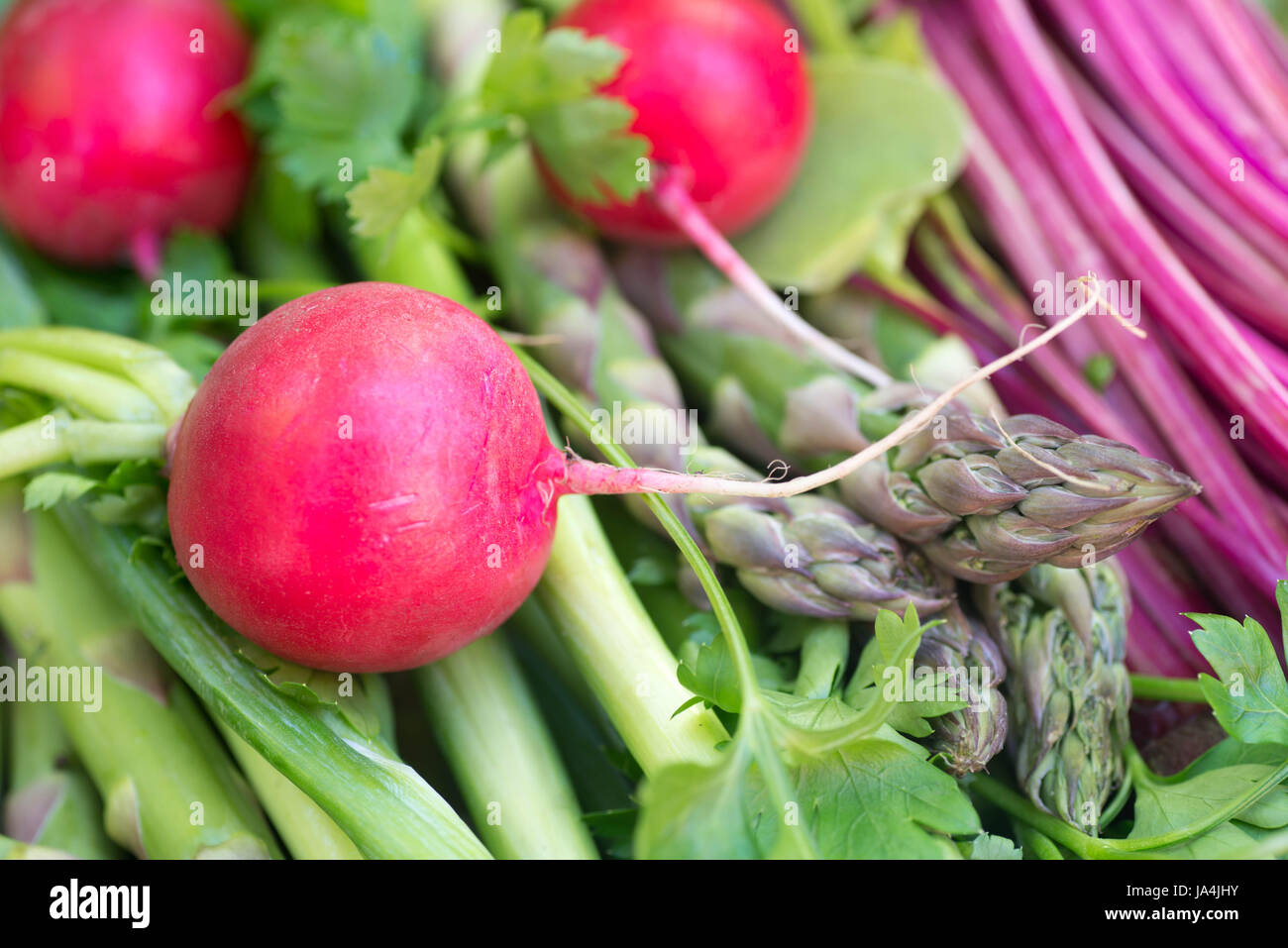 group of early spring vegetables Stock Photo - Alamy