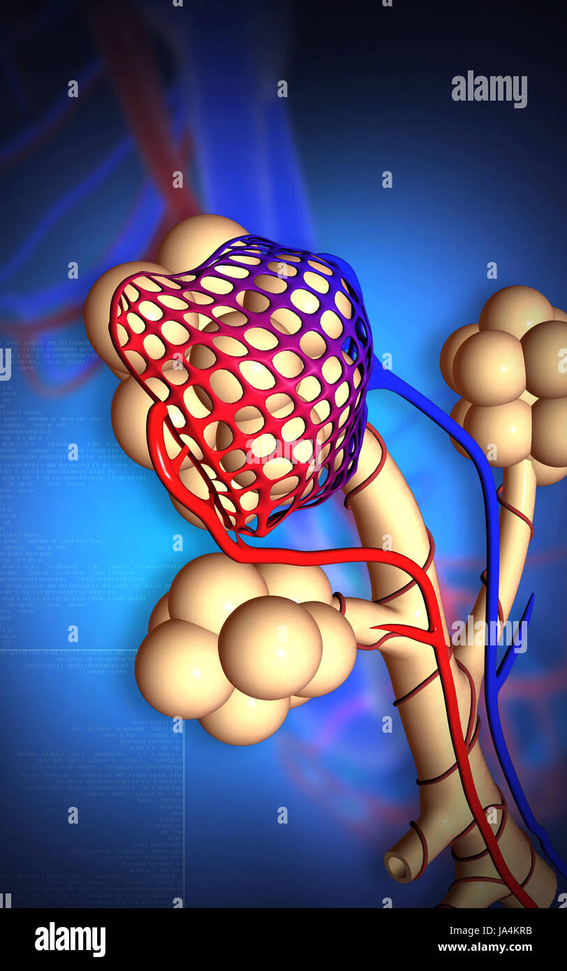 blue, education, health, medicinally, medical, graphics, colour ...