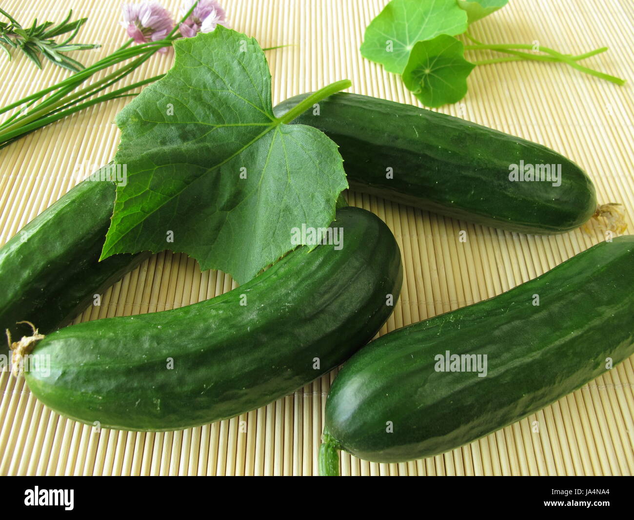 vegetable, gherkins, green, small, tiny, little, short, vegetable ...