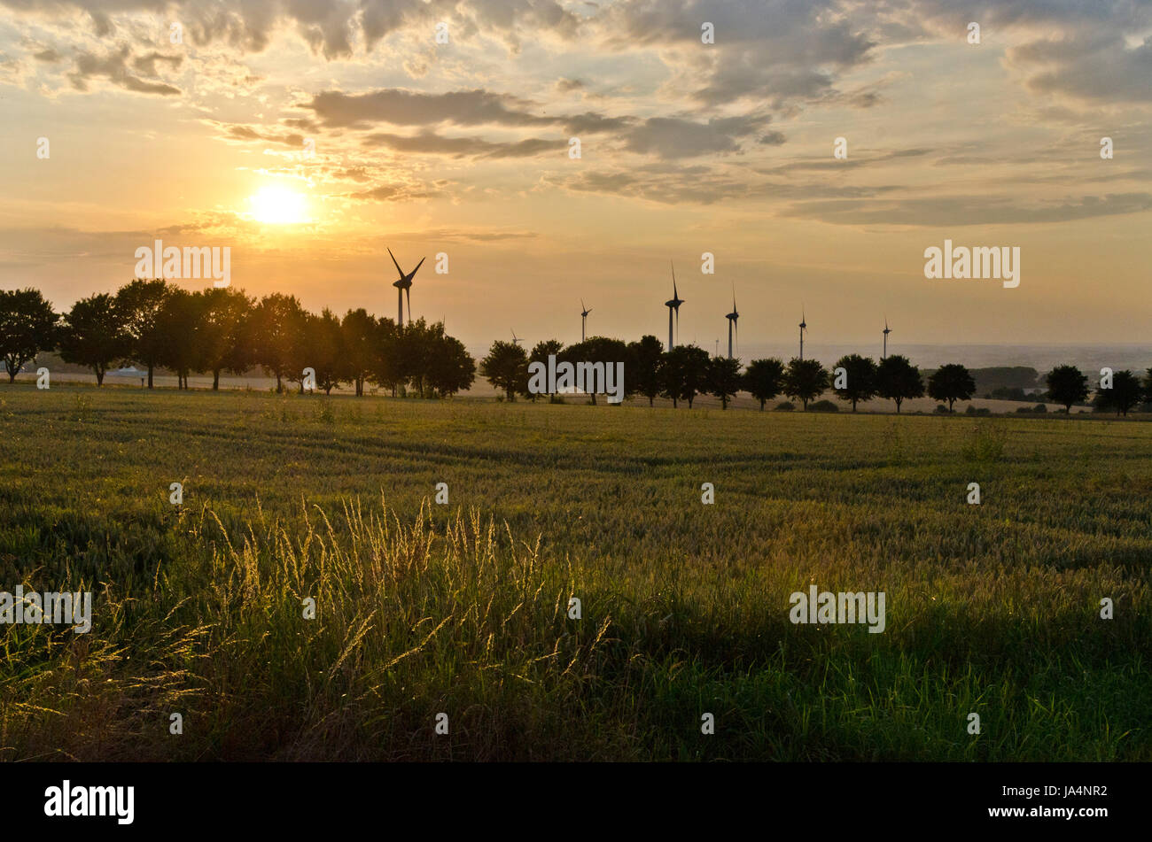 sunset, wind force, wind energy, wind engine, recording, scenery ...