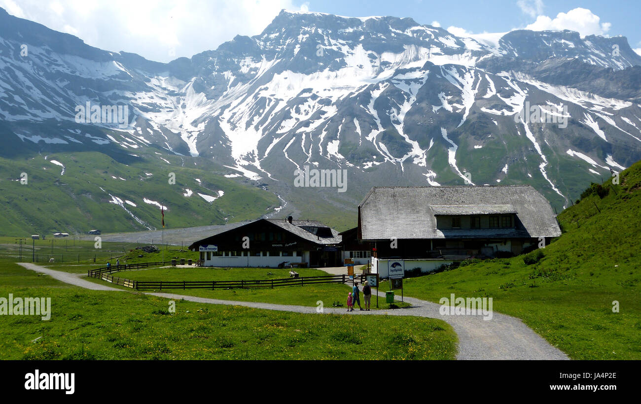 mountains, alps, alp, rambler, mountain, walker, blue, mountains, bloom ...