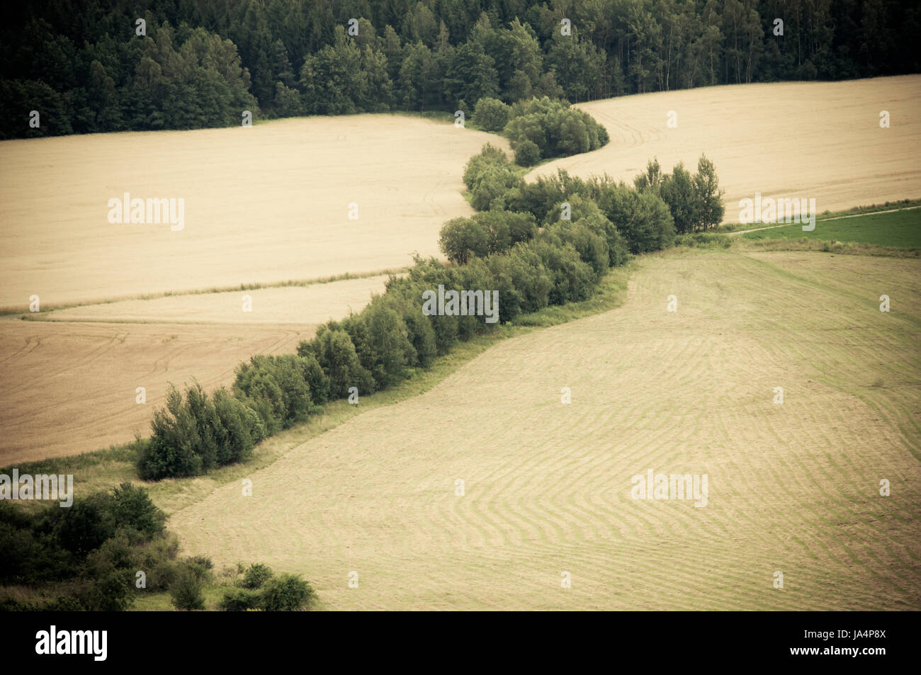 tree, agriculture, farming, field, wheat, farm, lawn, green, plant ...