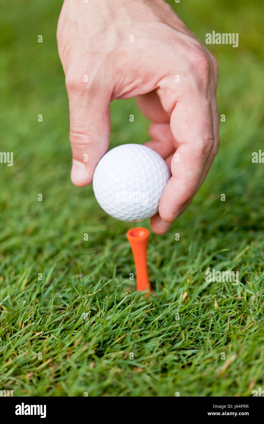 golf ball and golf clubs on green tea closeup lawn Stock Photo - Alamy