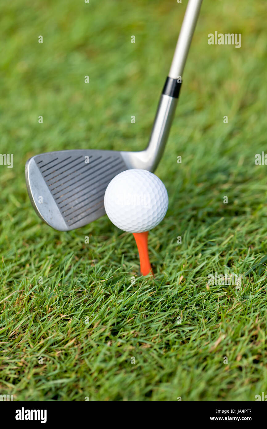 golf ball and golf clubs on green tea closeup lawn Stock Photo - Alamy