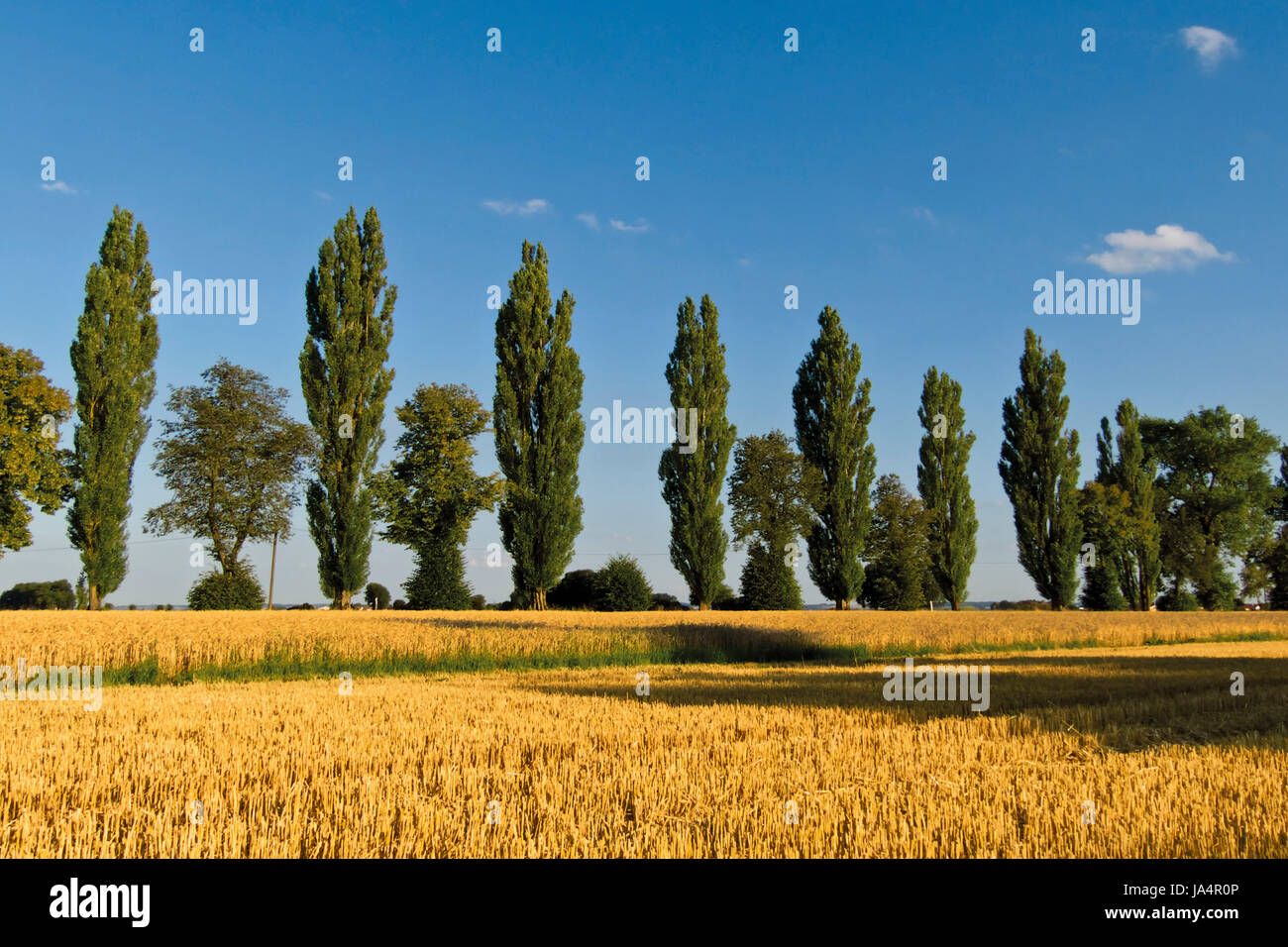 Suedlicher flair hi-res stock photography and images - Alamy