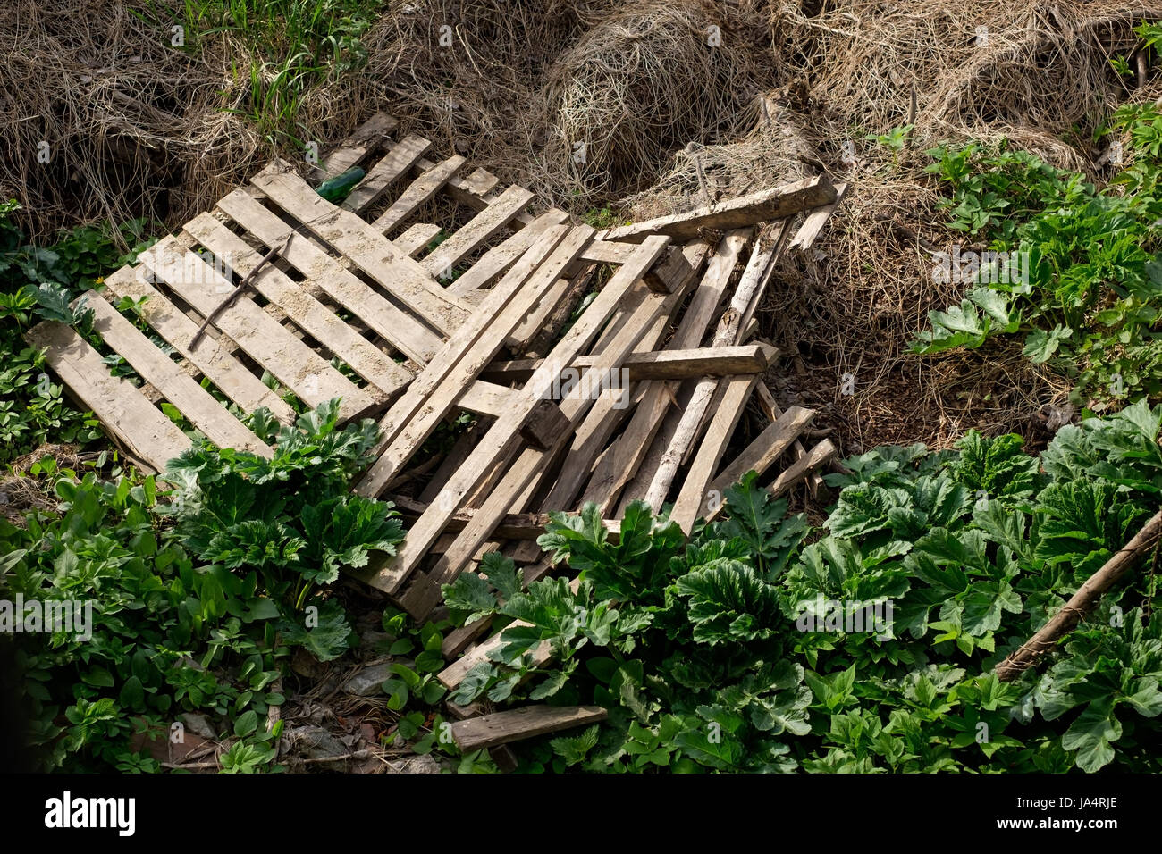 Broken pallets hi-res stock photography and images - Alamy