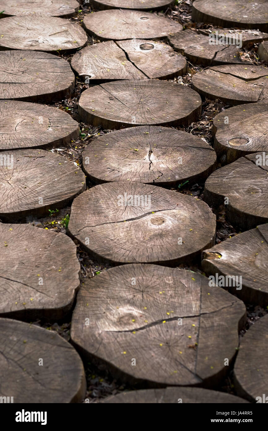 Path from sawn wood Stock Photo - Alamy