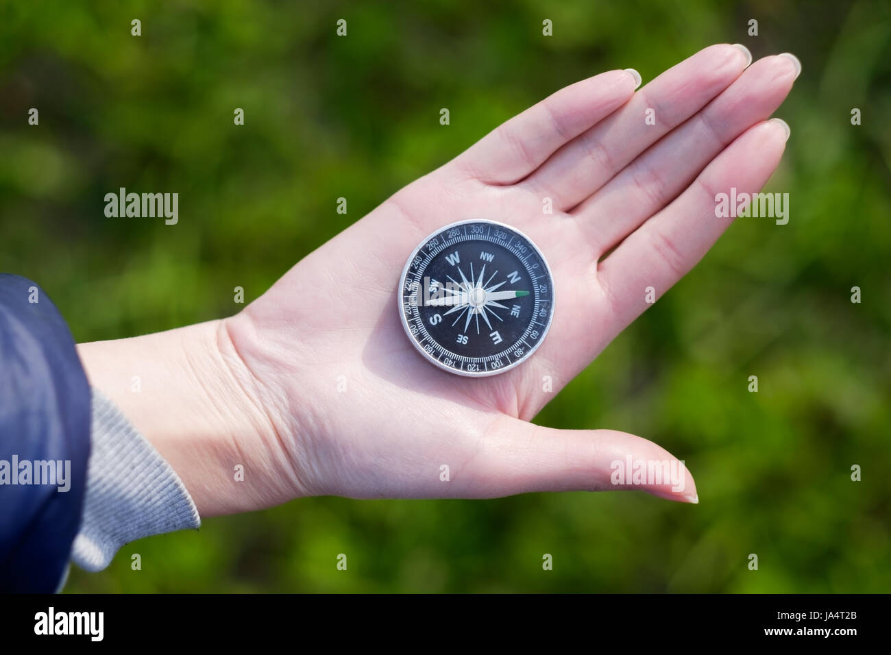 Hand holding the black compass isolated on green background Stock Photo ...