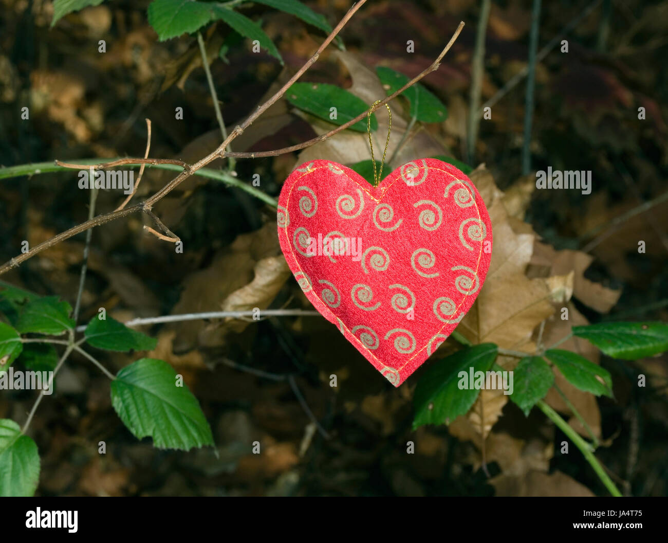 symbolic, shape, design, shaping, formation, model, figure, love, in ...