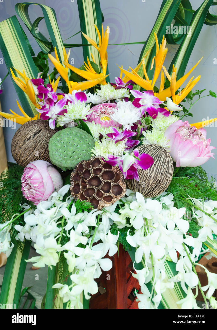 beautiful, beauteously, nice, leaf, art, colour, flower, plant ...