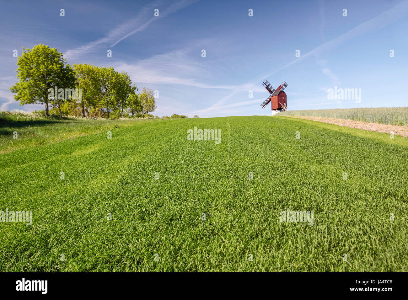 agriculture, farming, field, fields, windmill, mill, grain field, corn ...