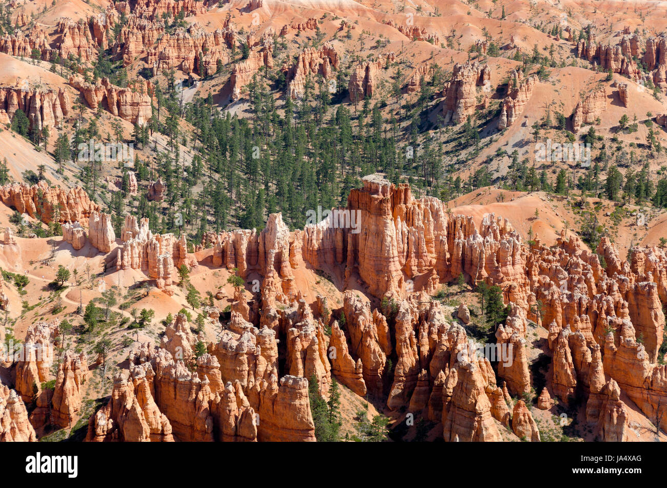 environment, enviroment, america, colors, colours, environment ...