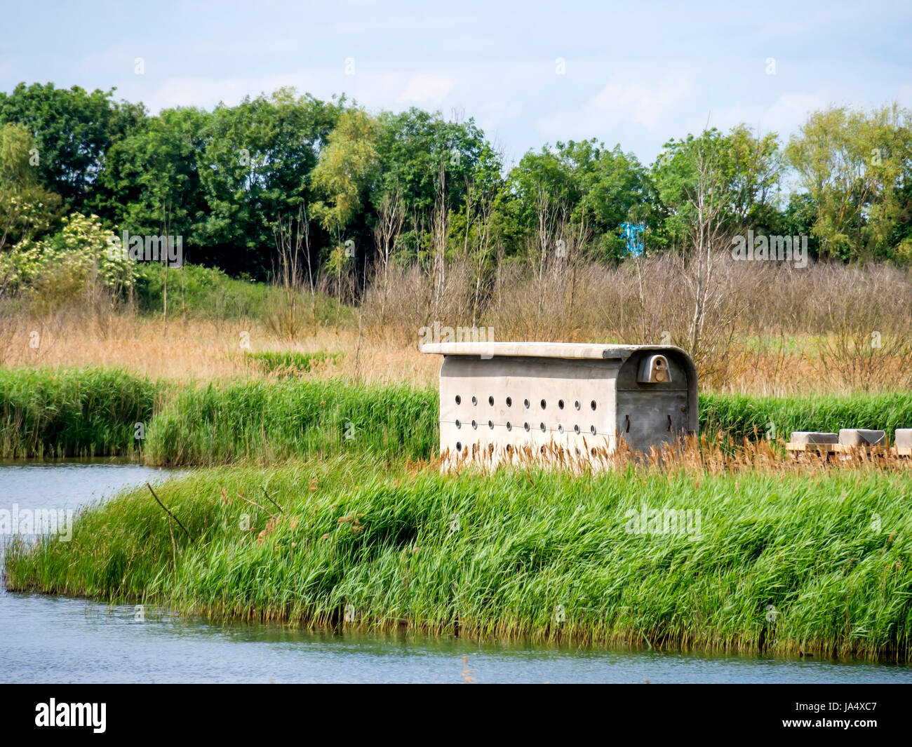 A purpose built bird nesting facility, with sand filled tubes to ...