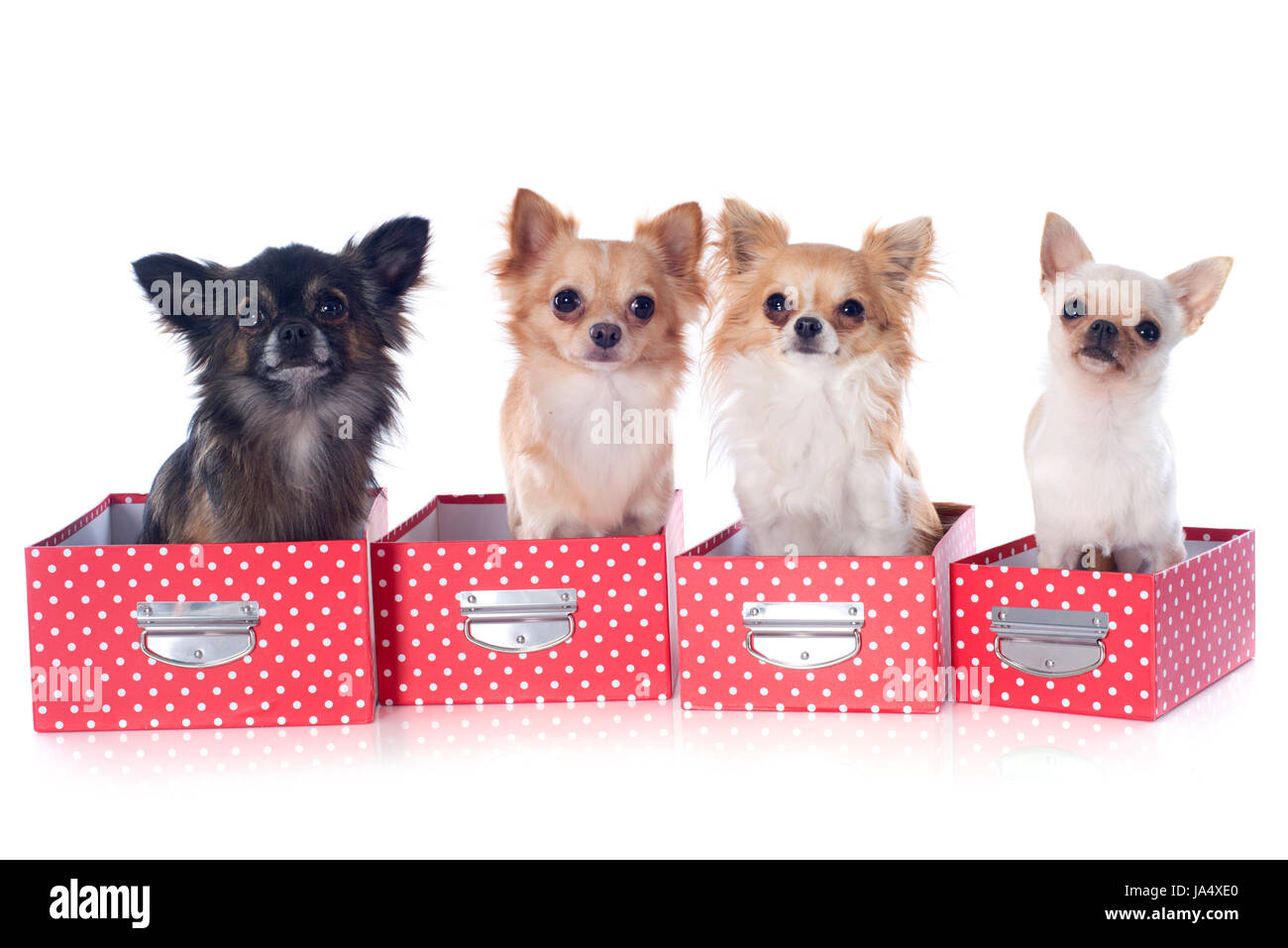 Four small boxes hi-res stock photography and images - Alamy