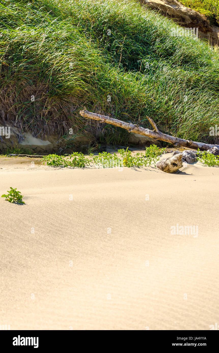 beach, seaside, the beach, seashore, landscape, scenery, countryside ...