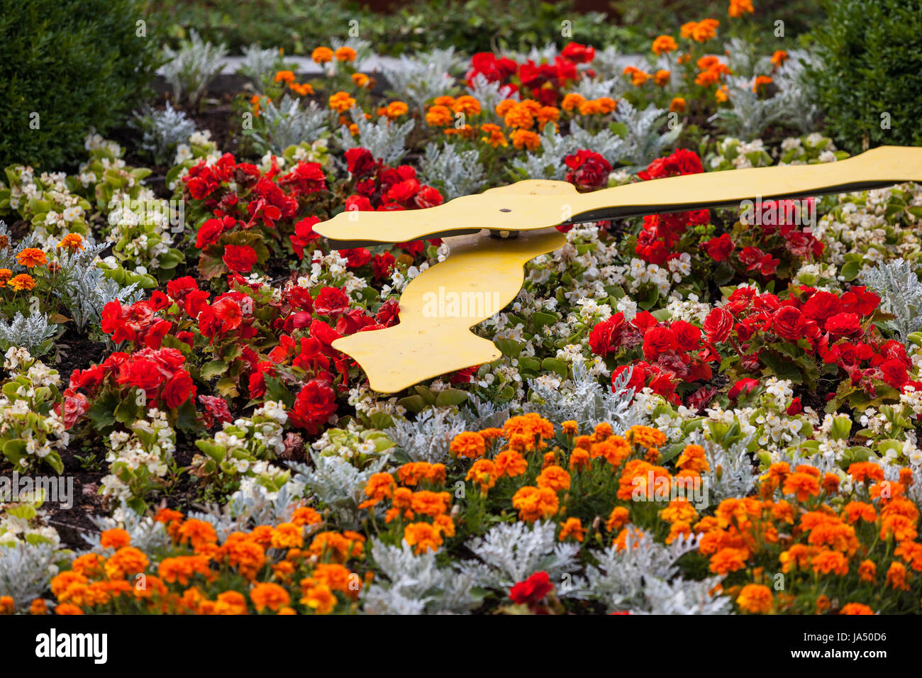 flower, flowers, plant, clock, frame-work, facade, horticulture, clock ...