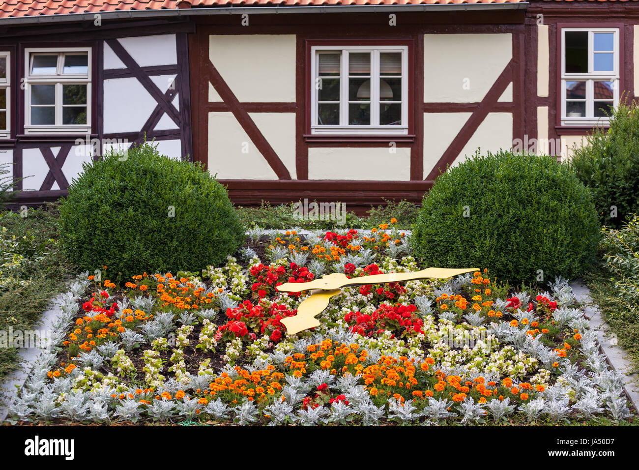 flower, flowers, plant, clock, frame-work, facade, horticulture, clock ...