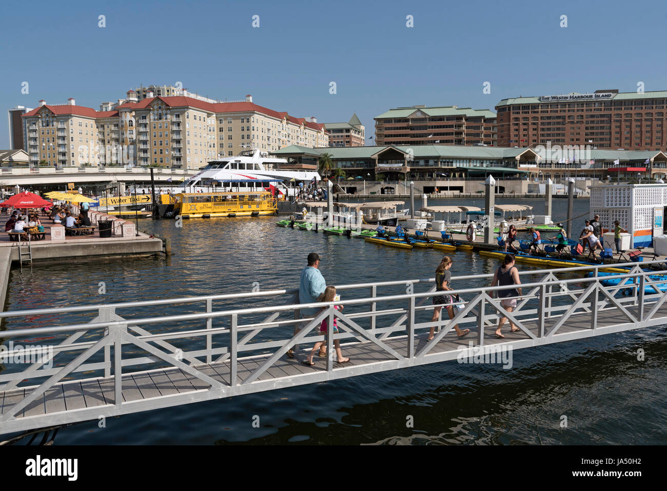 Tourist on a pedestrian walkway in the waterfront area Tampa Florida ...