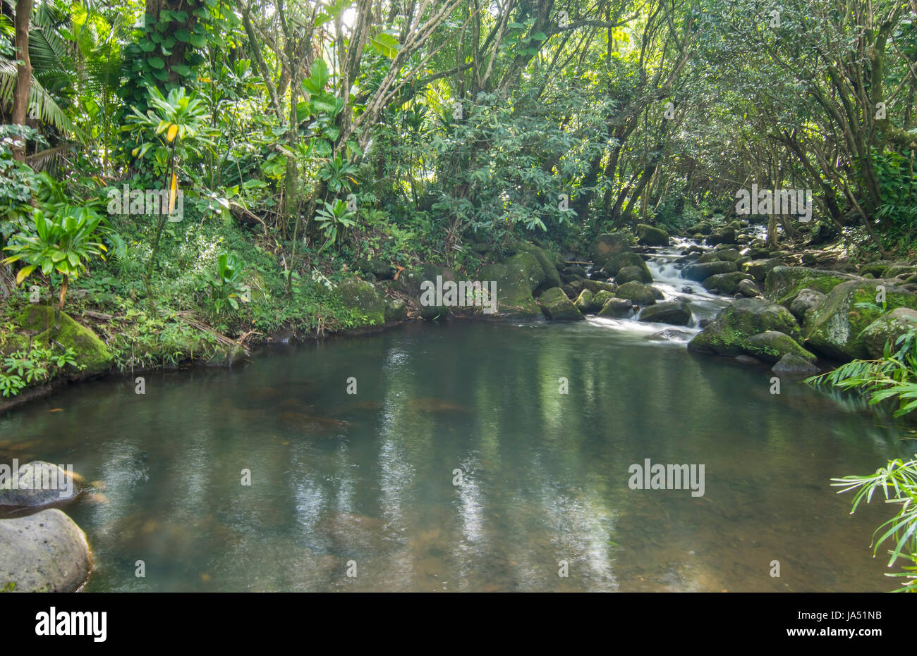 Haena Kauai Hawaii Haena State Park waterfall stream in rain forest ...