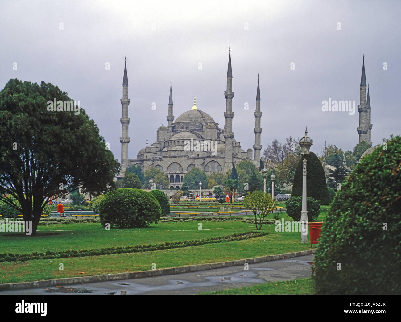 religion, tree, trees, garden, flower, flowers, plant, flora, turkey ...