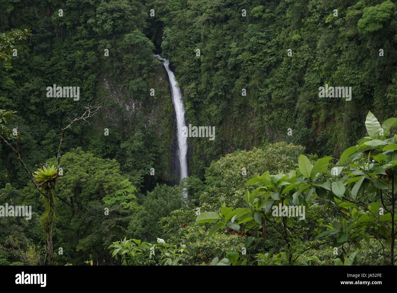 waterfall, jungle, crater, rainforest, rain forest, tropics ...