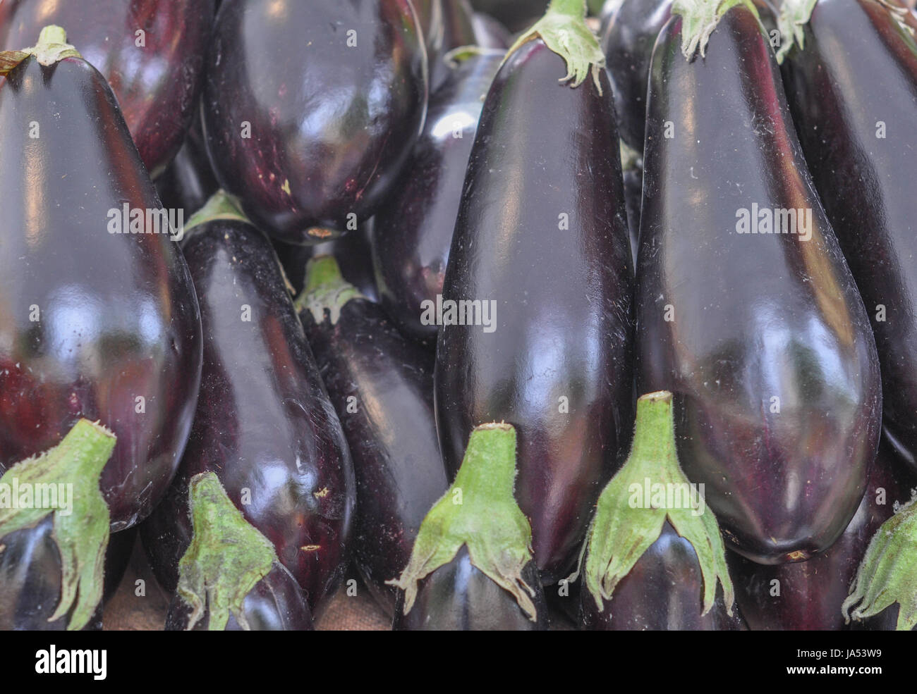 food, aliment, biological, violet, kitchen, cuisine, vegetable, diet ...