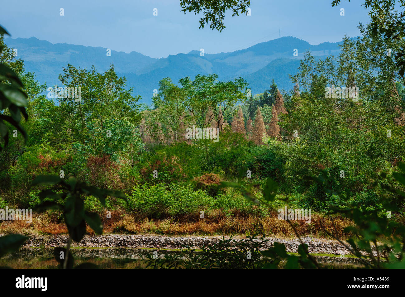 Scenery plant tree hi-res stock photography and images - Alamy