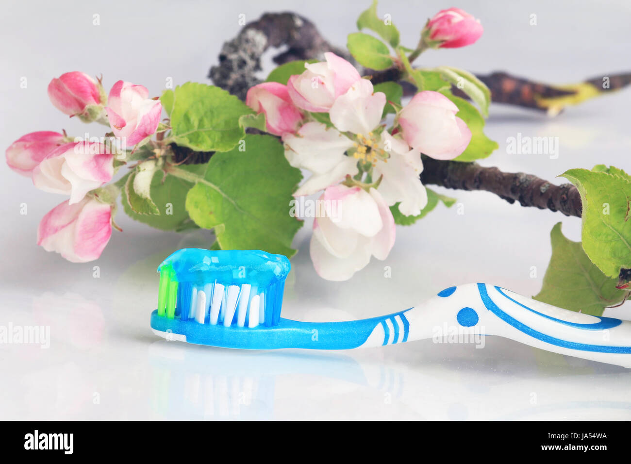 teeth, bit, toothpaste, furbish, toothbrush, healthy, blue, beautiful ...