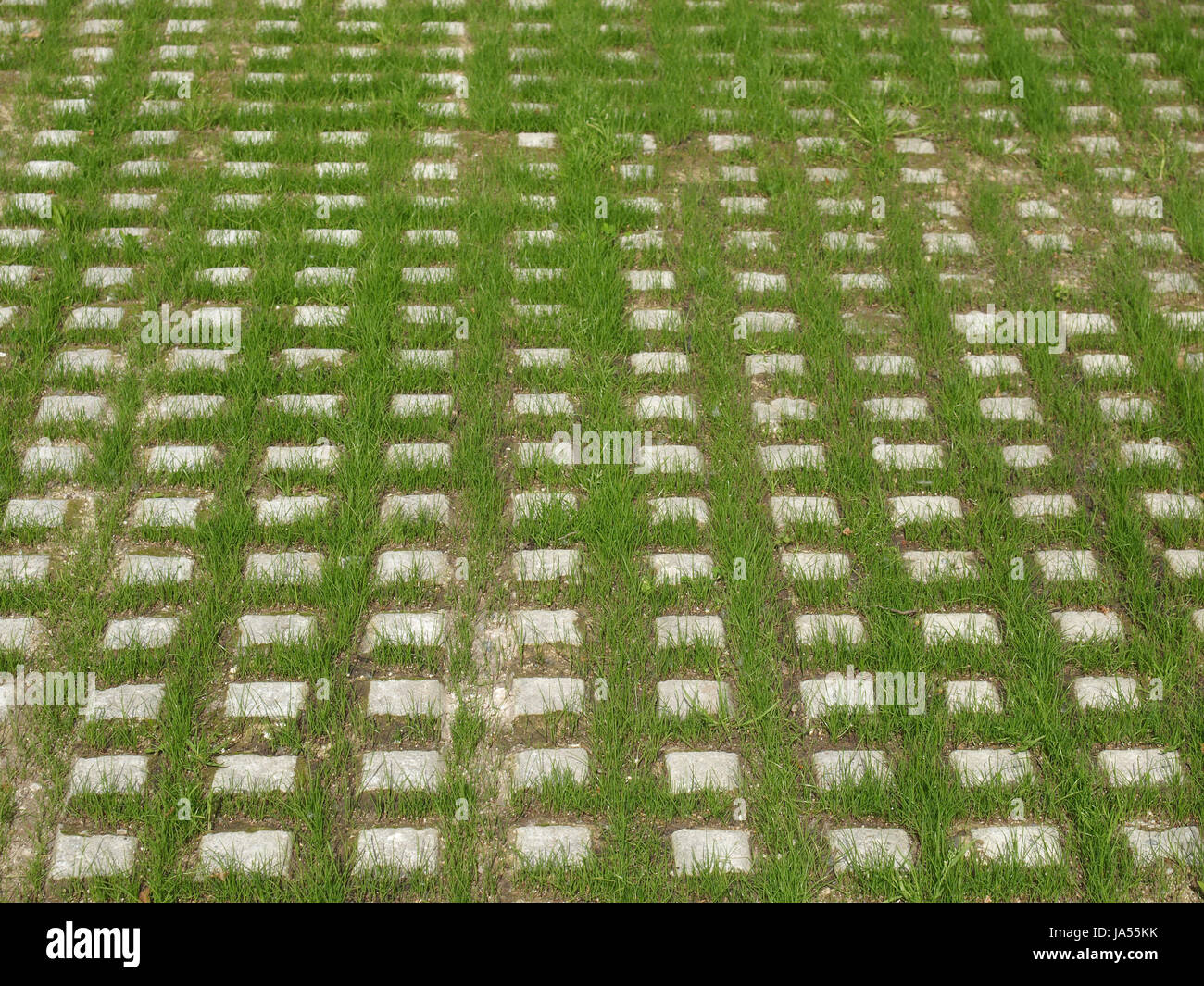 park, car, automobile, vehicle, means of travel, motor vehicle ...